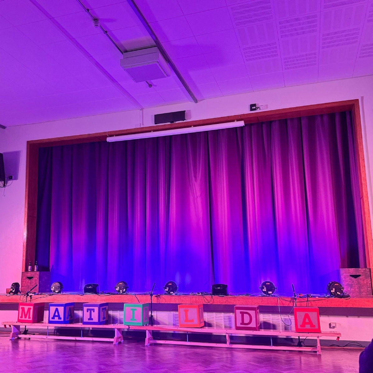 The Wells Academy - Matilda at The Wells Academy